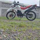 Formula Hawk - 3 Motos formula hawk - Cari Motos