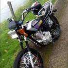 Freedom Zs 2021 - 5 Motos freedom zs 2021 - Cari Motos